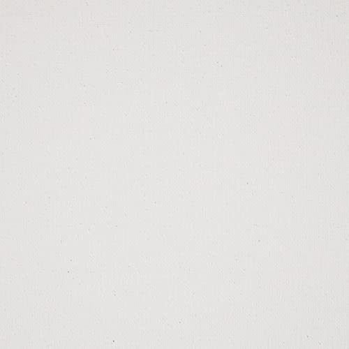 Sargent Art 16 x 20 inch Stretched Canvas, Pack of 10 Pieces, Blank White Canvases, Double Acrylic Titanium Priming, Perfect for Acrylic, Oil, and Art Projects, Acrylic Pouring & Wet Media