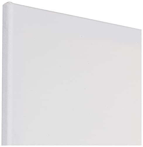 Sargent Art 16 x 20 inch Stretched Canvas, Pack of 10 Pieces, Blank White Canvases, Double Acrylic Titanium Priming, Perfect for Acrylic, Oil, and Art Projects, Acrylic Pouring & Wet Media