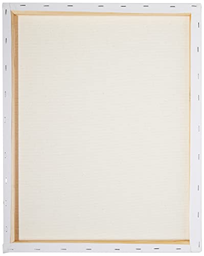 Sargent Art 16 x 20 inch Stretched Canvas, Pack of 10 Pieces, Blank White Canvases, Double Acrylic Titanium Priming, Perfect for Acrylic, Oil, and Art Projects, Acrylic Pouring & Wet Media