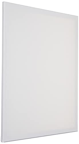 Sargent Art 16 x 20 inch Stretched Canvas, Pack of 10 Pieces, Blank White Canvases, Double Acrylic Titanium Priming, Perfect for Acrylic, Oil, and Art Projects, Acrylic Pouring & Wet Media