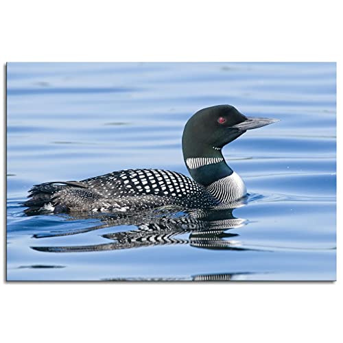 MSHDO Black Throated Loon Wall Art Canvas Prints Poster For Home Office Decorations With Framed 18"x12"