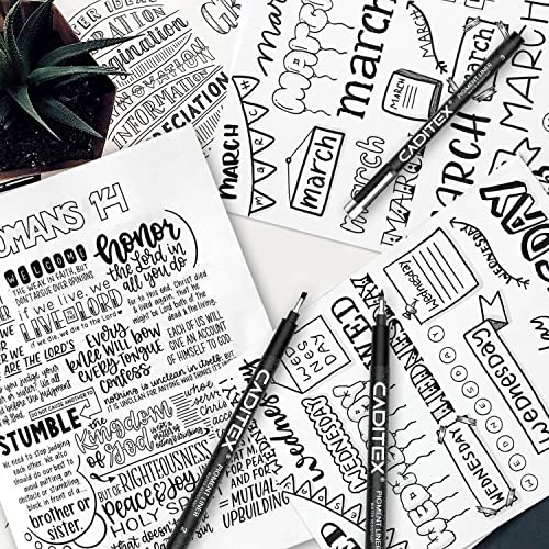Calligraphy Pens, CADITEX 8 Size Calligraphy Pens Set for Beginners Drawing, Writing