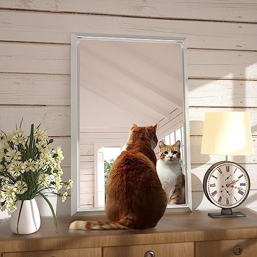 Silver Bathroom Mirror for Over Sink: 65 x 22 Inch Brushed Nickel Bathroom Wall Mirror - Modern Farmhouse Framed Vanity Mirror Hangs Horizontal or Vertical Shatterproof