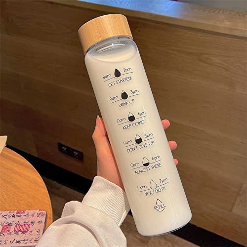HOLABEAR 32oz Glass Motivational Daily Water Intake Bottle with Time Marker, Leakproof Bamboo Lid and Holder Sleeves, for Hot and Cold Drinks, Clear Reusable BPA Free