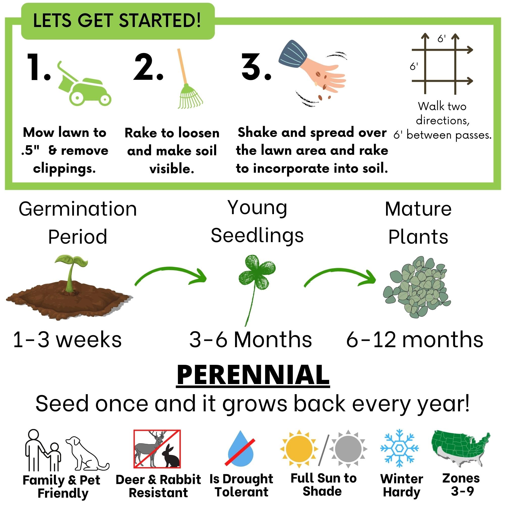 Flawn Seed Kits Micro Clover Seed, Organic Coated, Eco-Friendly, Low Growing, Low Maintenance, Lawn Alternative, Compostable Pouch, Over-Seed up to 500 sqft
