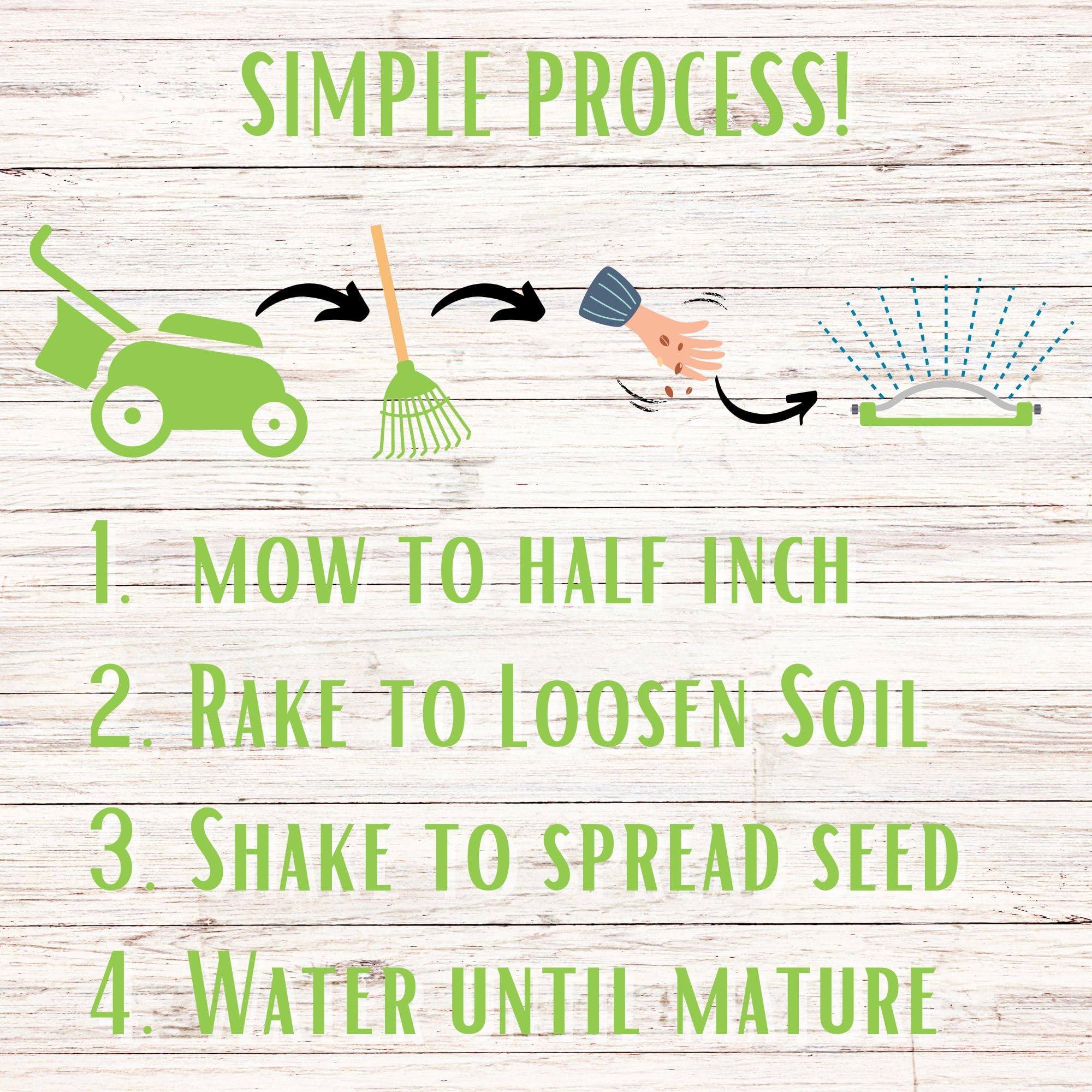 Flawn Seed Kits Micro Clover Seed, Organic Coated, Eco-Friendly, Low Growing, Low Maintenance, Lawn Alternative, Compostable Pouch, Over-Seed up to 500 sqft