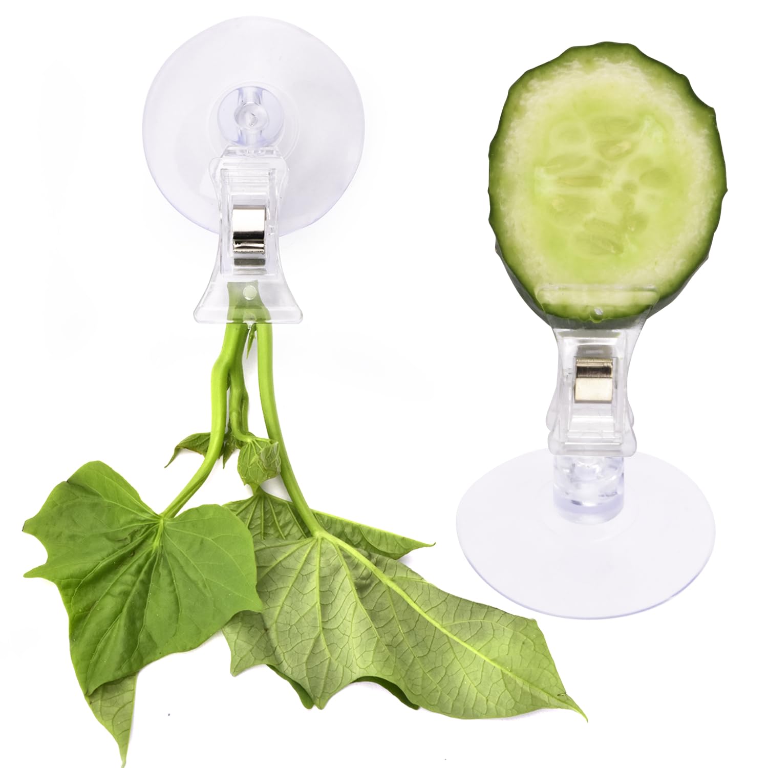 AccEncyc 12Pcs Veggie Clips Aquarium Seaweed Clips Fish Food Holder Wide Mouth Clips Plants Suction Cups Algae Clips for Freshwater and Marine Fish Tank (Plastic)