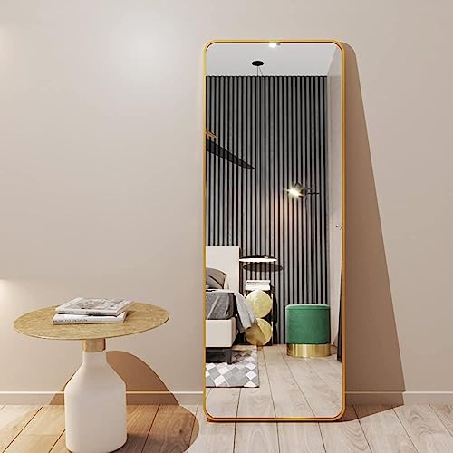 SNUGACE Full Length Mirror, Gold Frame Free Standing Mirror for Bedroom Dressing Mirror, 65 * 20IN