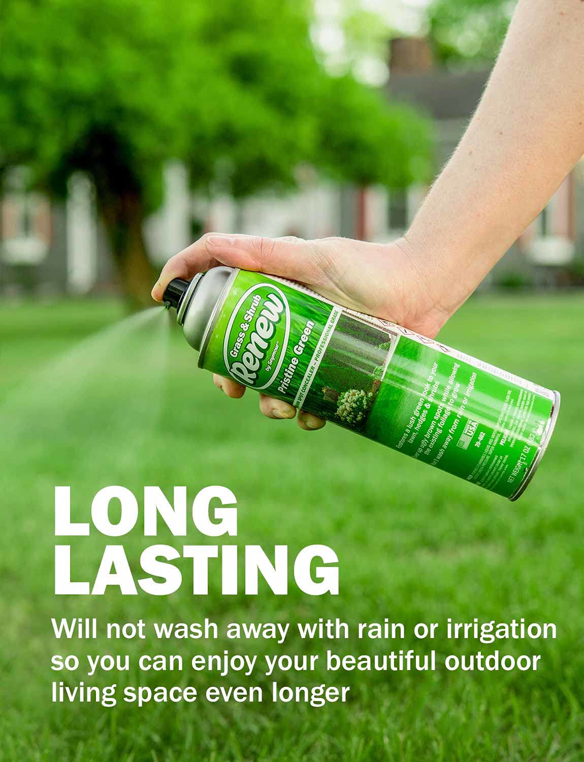 Seymour Grass and Shrub Renew Spray Paint and EnviroColor 4Evergreen Grass & Turf Paint