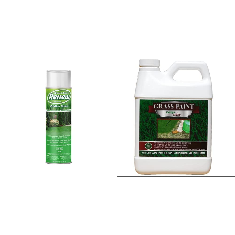 Seymour Grass and Shrub Renew Spray Paint and EnviroColor 4Evergreen Grass & Turf Paint