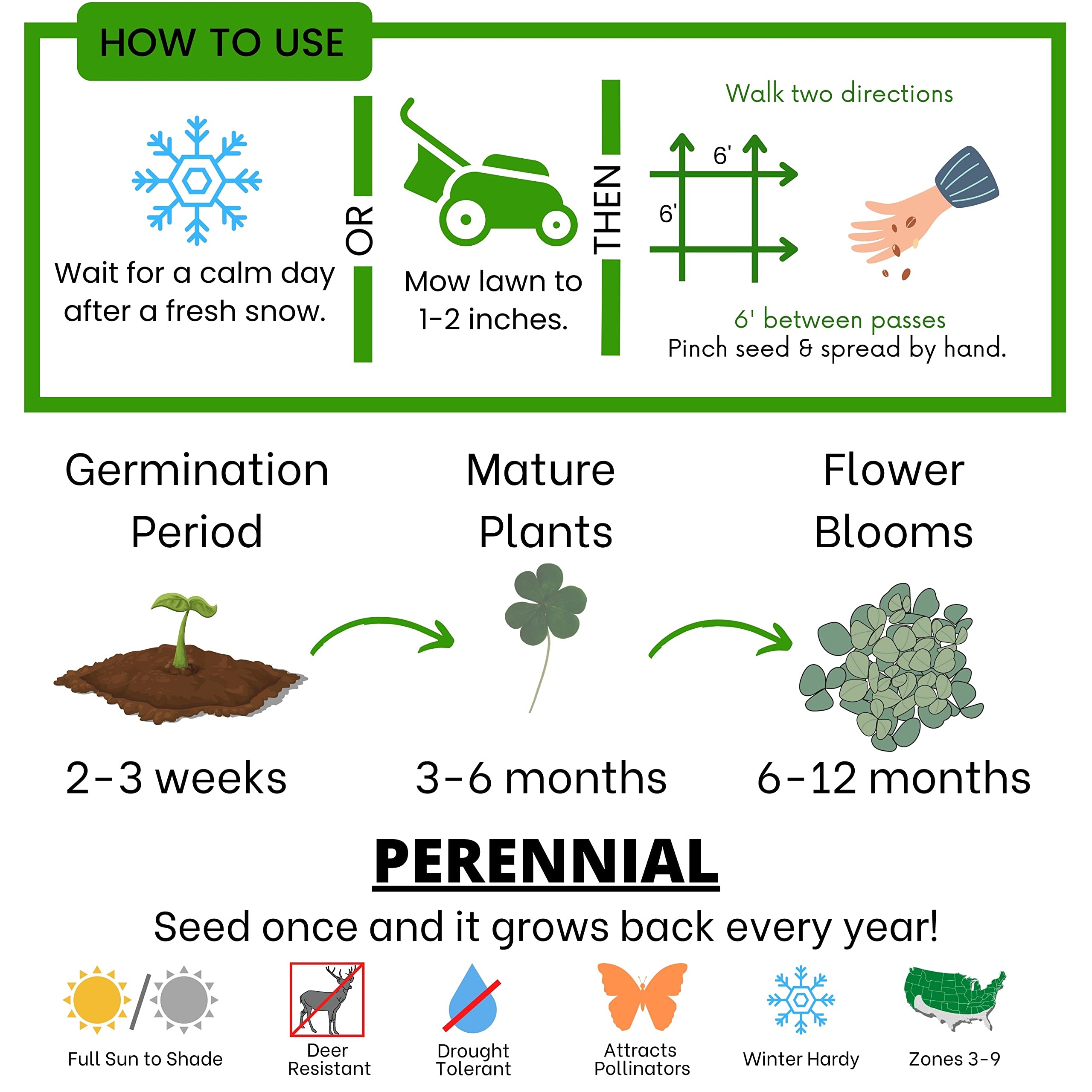 Flawn Seed Organic Coated Micro Clover Seed, Specialty Coated, Eco-Friendly, Low Mowing, Low Maintenance, Easy Open Compostable Pouch, Easy Spread Up to 500 SqFt