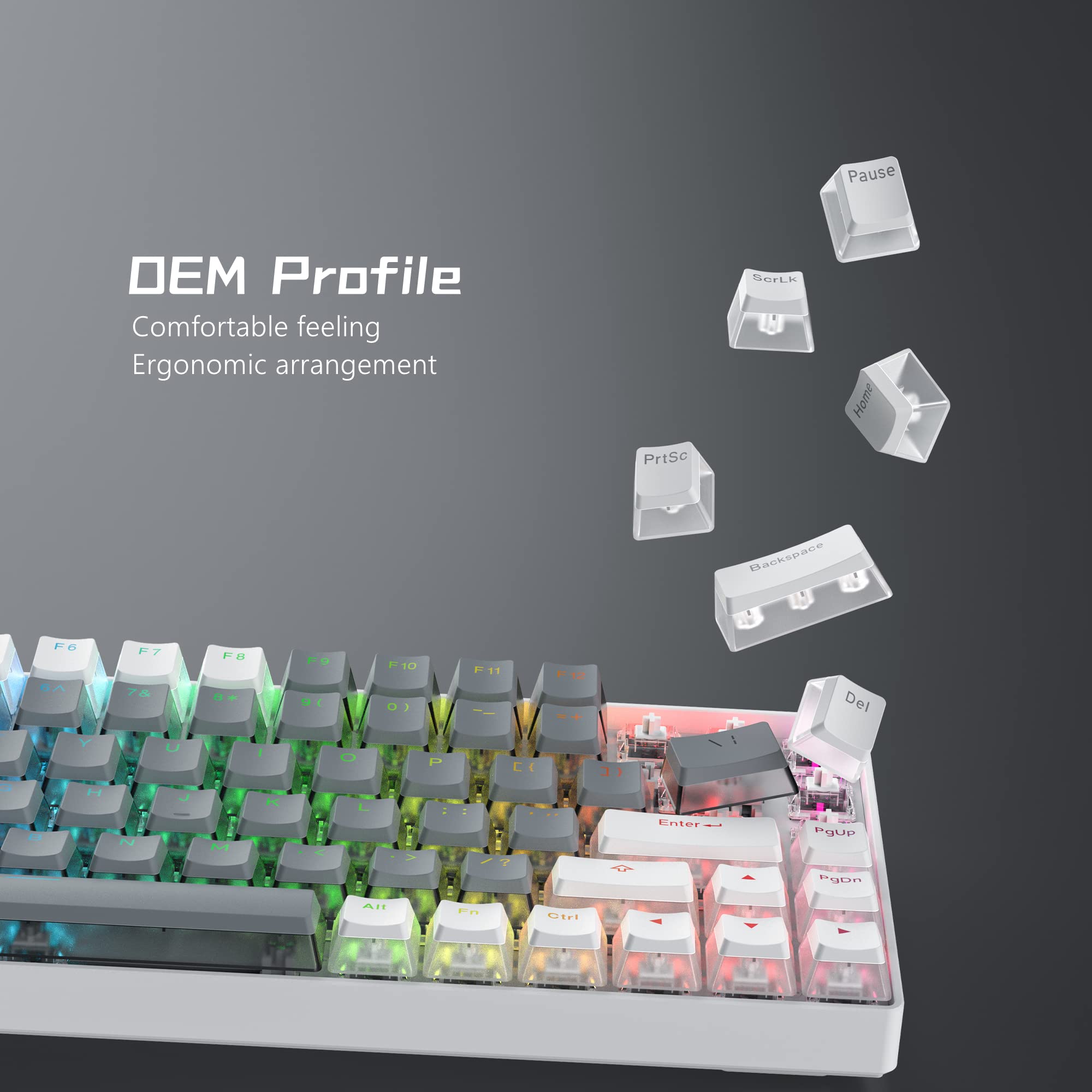 Womier Pudding Keycaps - PBT Keycaps, Shine Through Keycaps, 165 Keys Keycaps Set, Custom Keycaps for 61/68/84/87/82/100 Cherry Gateron MX Switches Mechanical Keyboard, White/Gray