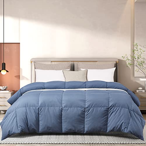 Beautyrest Ultra-Soft All Season Feather Down Comforter Full/Queen Size - Colored Microfiber Cover Fabric Down Duvet Insert with Corner Tabs