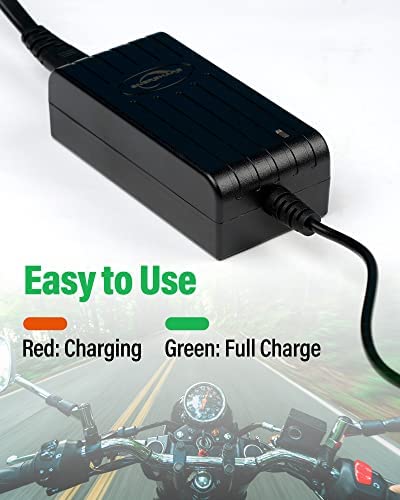 ENERSHARE 12V 2A Lithium Battery Charger, Smart 14.6V Chargers for 12.8V Lithium Iron Phosphate Rechargeable Batteries