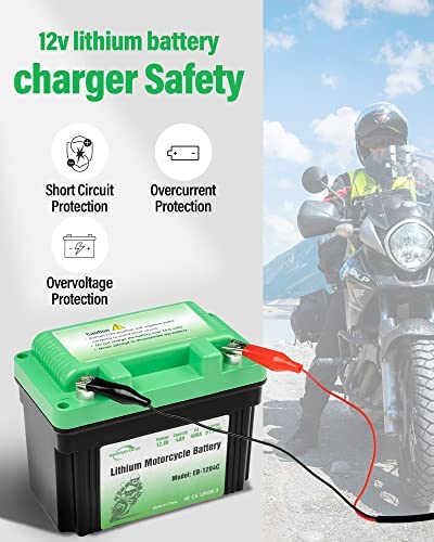 ENERSHARE 12V 2A Lithium Battery Charger, Smart 14.6V Chargers for 12.8V Lithium Iron Phosphate Rechargeable Batteries