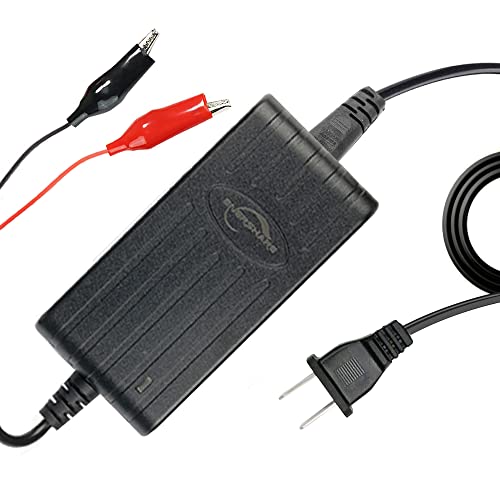 ENERSHARE 12V 2A Lithium Battery Charger, Smart 14.6V Chargers for 12.8V Lithium Iron Phosphate Rechargeable Batteries