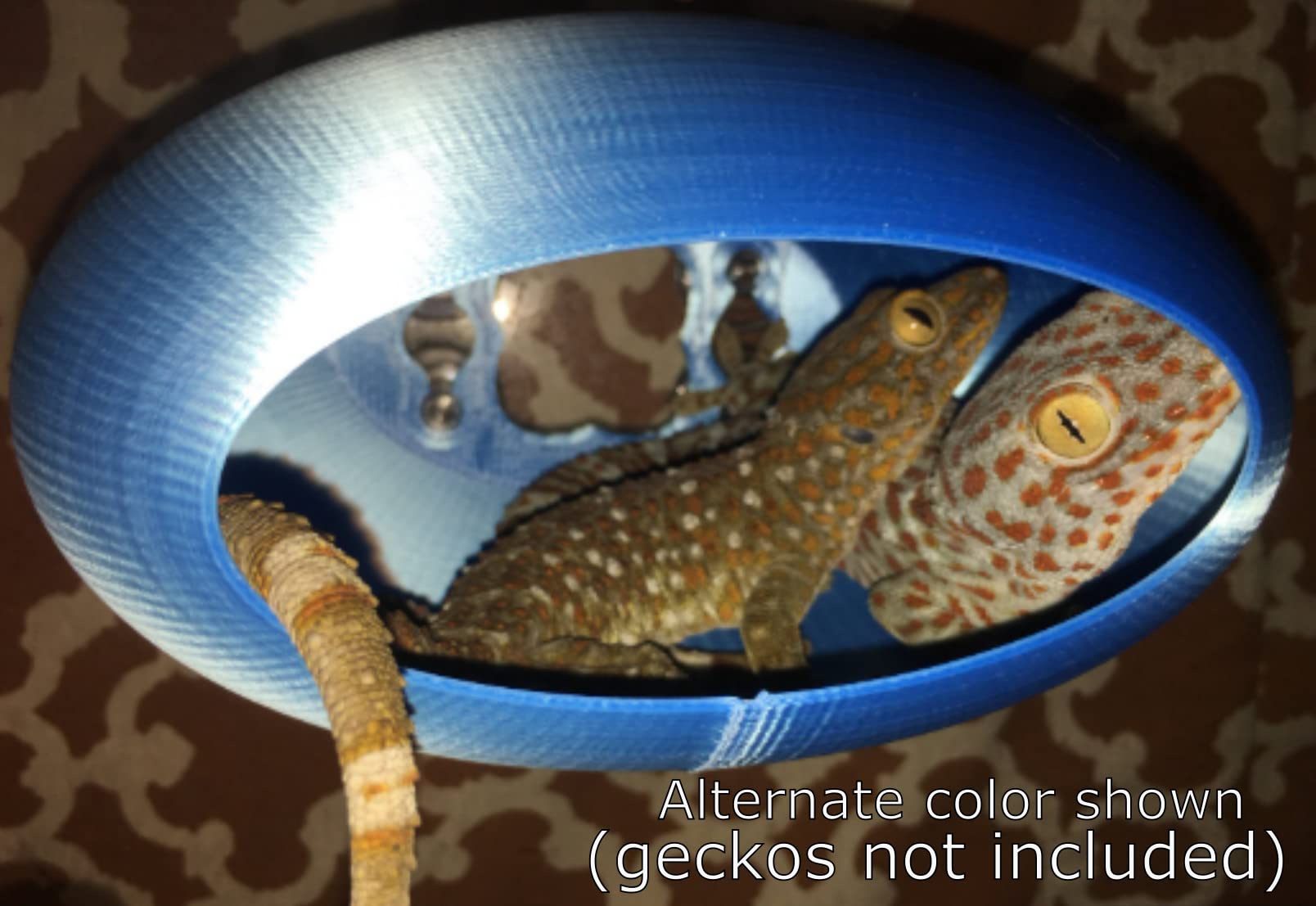 Stroodies Giant Bubbleloft Hide for Arboreal Geckos | Especially Adult Cresties | Includes 4X Suction Cups | (LeafGreen)