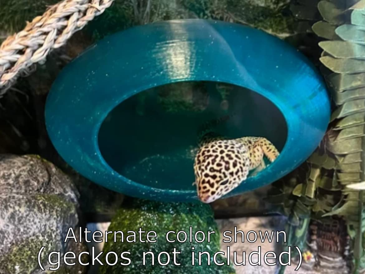 Stroodies Giant Bubbleloft Hide for Arboreal Geckos | Especially Adult Cresties | Includes 4X Suction Cups | (LeafGreen)
