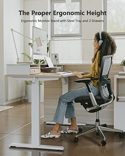 BANTI 48"x 26" Electric Standing Desk with Glass Top Monitor Stand, Adjustable Sit Stand Up Table with Double Drawer, Sit Stand Desk with Storage Shelf, Light Walnut Top