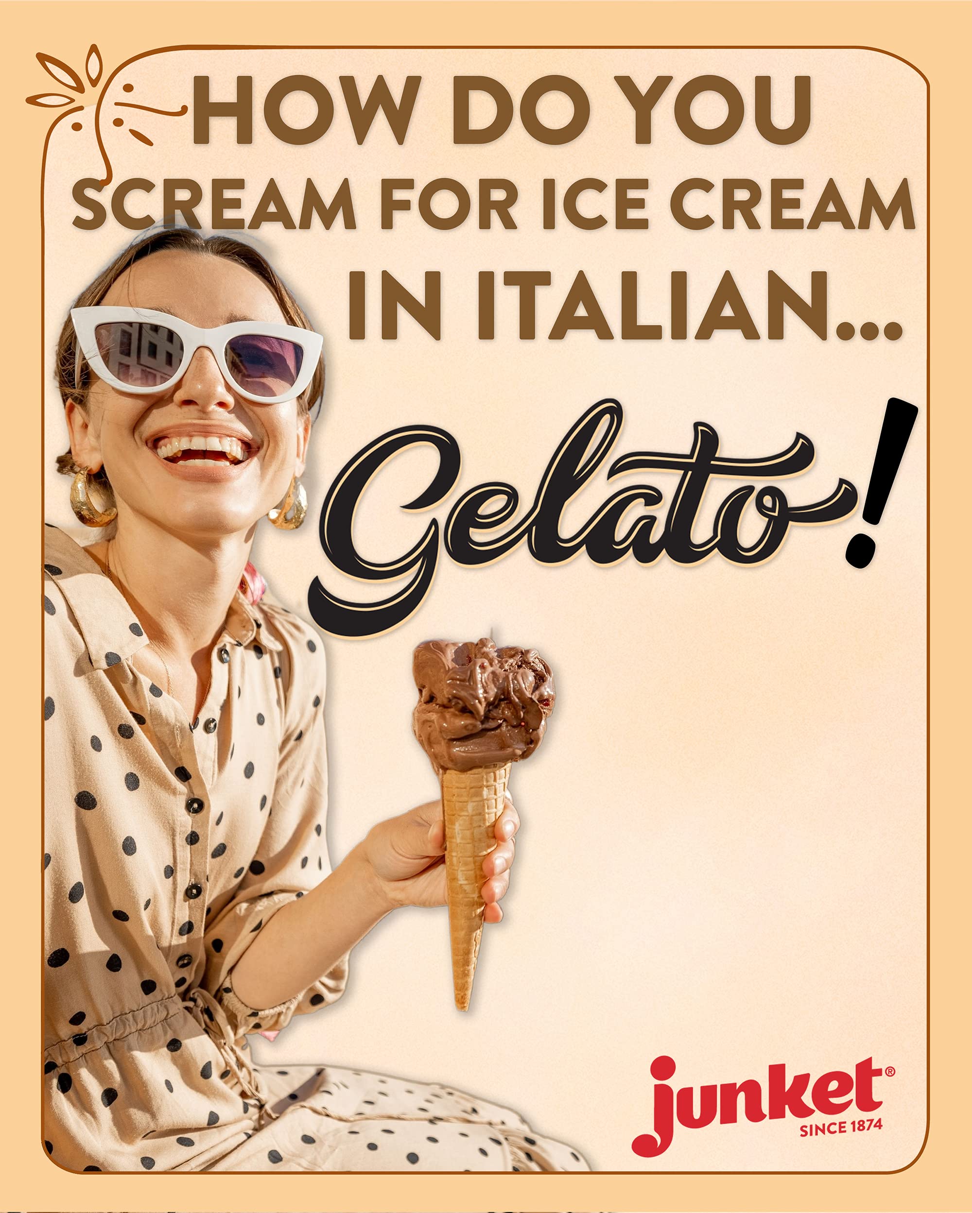 Junket Ice Cream and Gelato Mix Ultimate Bundle: 2 Chocolate, 2 Strawberry, 2 Vanilla Ice Cream Mixes and 2 Stracciatella, 2 Dark Chocolate, 2 Strawberry Cheesecake Gelato Mixes (Variety Pack of 12)