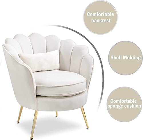 ZJhome Modern Accent Velvet Chairs Shell Shape Barrel Chairs Comfy Upholstered Vanity Chairs for Bedroom Armchair Chairs with Golden Metal Legs Makeup Chairs for Living Room (White)
