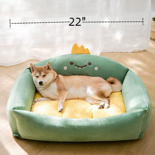 FAOLONE 22" Dinosaur Pet Bed,Large Square Dog Bed,Ultrasoft Plush Pet Bed for Large Dog Beds (Medium)