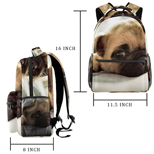 School Backpack Travel Backpack,Boy Girl Backpack,pug dog,Outdoor Sports Rucksack Casual Daypack