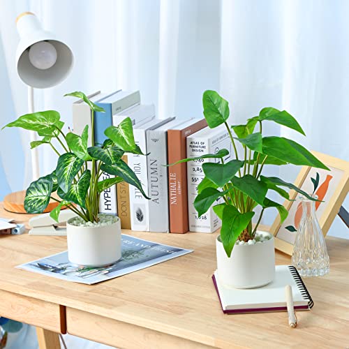 CEWOR Artificial Plants Indoor,2 Pack,11.8 Inch, Fake Plants in Ceramic Pot,Faux Green Leaf Plant with Modern White Planter,Desk Shelf Office Room Home Decoration Indoor