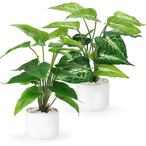 CEWOR Artificial Plants Indoor,2 Pack,11.8 Inch, Fake Plants in Ceramic Pot,Faux Green Leaf Plant with Modern White Planter,Desk Shelf Office Room Home Decoration Indoor