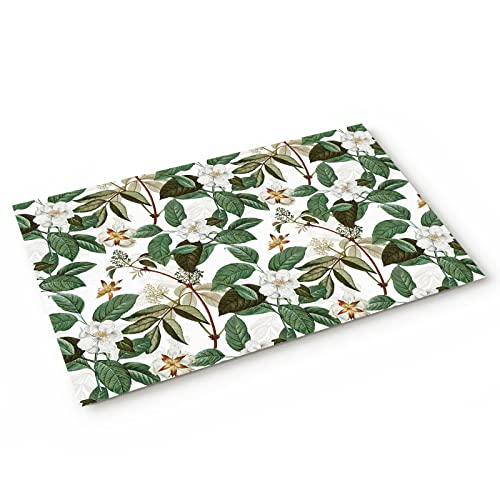Indoor Doormat, Watercolor Fresh Floral and Green Leaf Door Mat, Front Door Mat for Bedroom Decor Living Room Decor, Absorbent Non-Slip Floor Mats Low-Profile Entryway Rug, 18x30in Welcome Mats