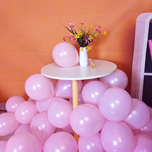 200pcs Small Pink Latex Balloons - 5 Inch Mini Thick Pink Birthday Balloons for Birthday & Wedding Decorations, Baby Shower