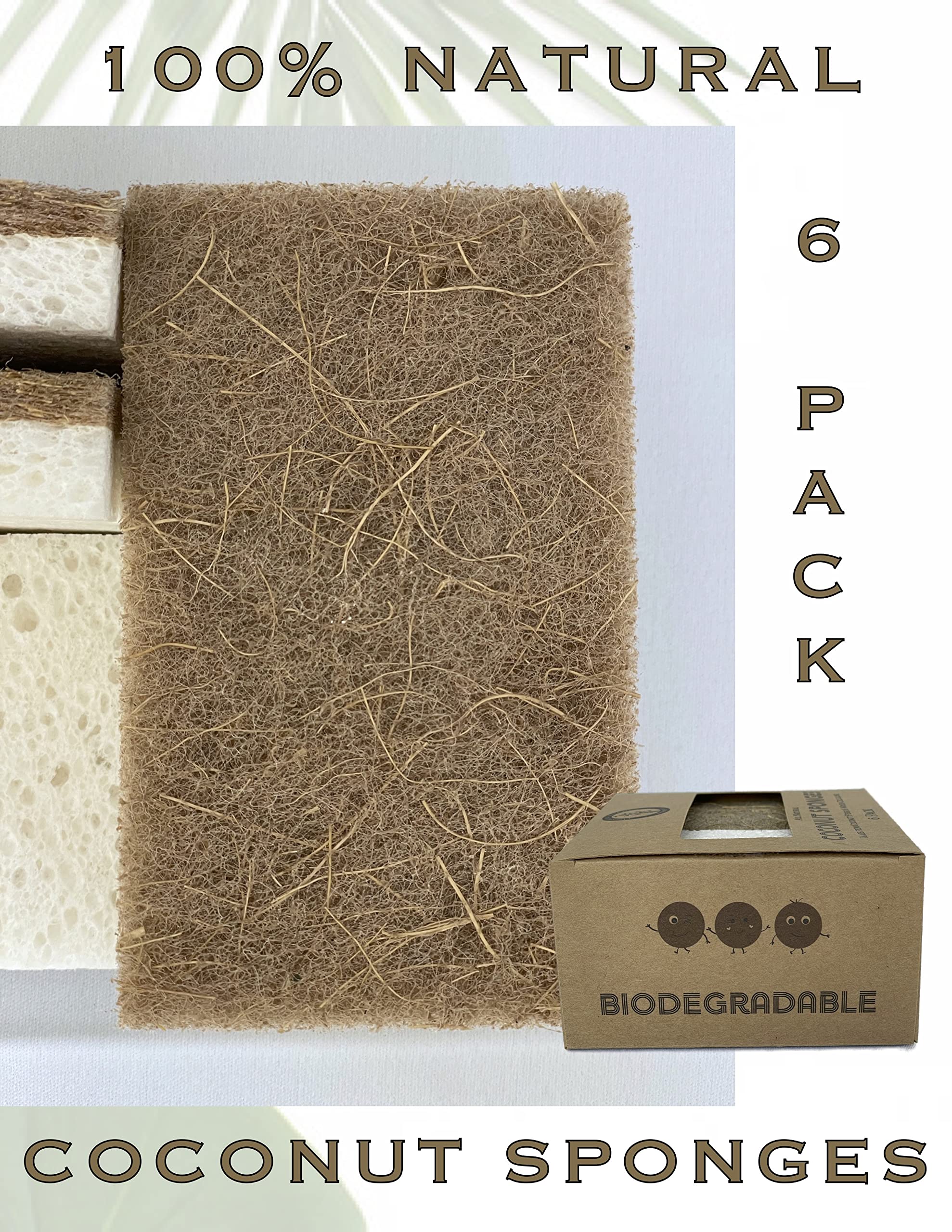 Natural Sponges - 6 Pack of EcoFriendly Biodegradable Coconut Sponges - Multipurpose Kitchen Sponges - by American Kitchen Company ™