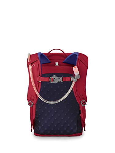 Hydrajet 12 Kid's Hydration Backpack, Cosmic Red