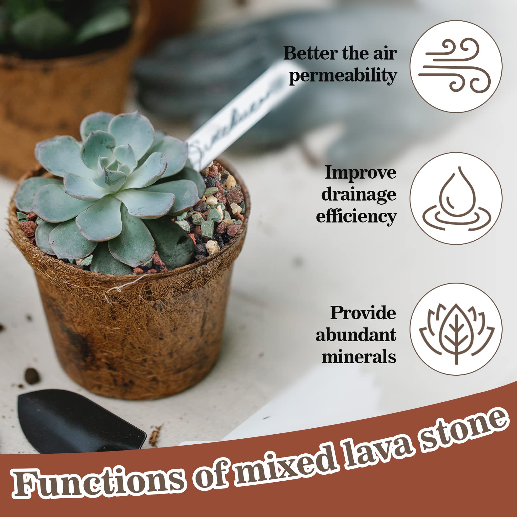 Sukh 300G Horticultural Succulent Soil Mix - Succulent Rocks Bonsai Mix Succulent Potting Mix Lava Rocks Cactus Soil Potting Mix Amendment.