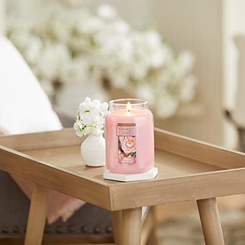 Yankee Candle Fresh Cut Roses and Vanilla Cupcake Scented 22oz Large Jar Candles (2-Pack)
