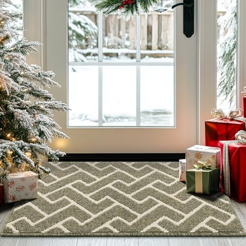 hicorfe Indoor Door mat,Odor-Free Door Mat Indoor Entrance,Non Slip Doormat 24"x35" Absorbent Resist Dirt Inside Floor Door Mats for Entryway Washable Low-Profile(Green)