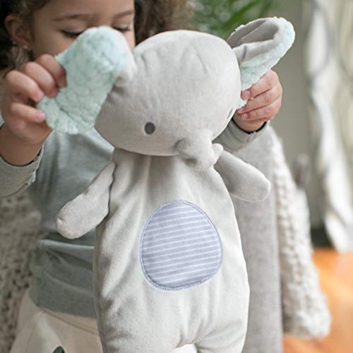 Ingenuity Premium Soft Plush Soothing Bean Bag Lovey, Van The Elephant, Ages Newborn and up, 12380 (Pack of 2)