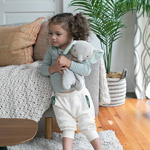 Ingenuity Premium Soft Plush Soothing Bean Bag Lovey, Van The Elephant, Ages Newborn and up, 12380 (Pack of 2)