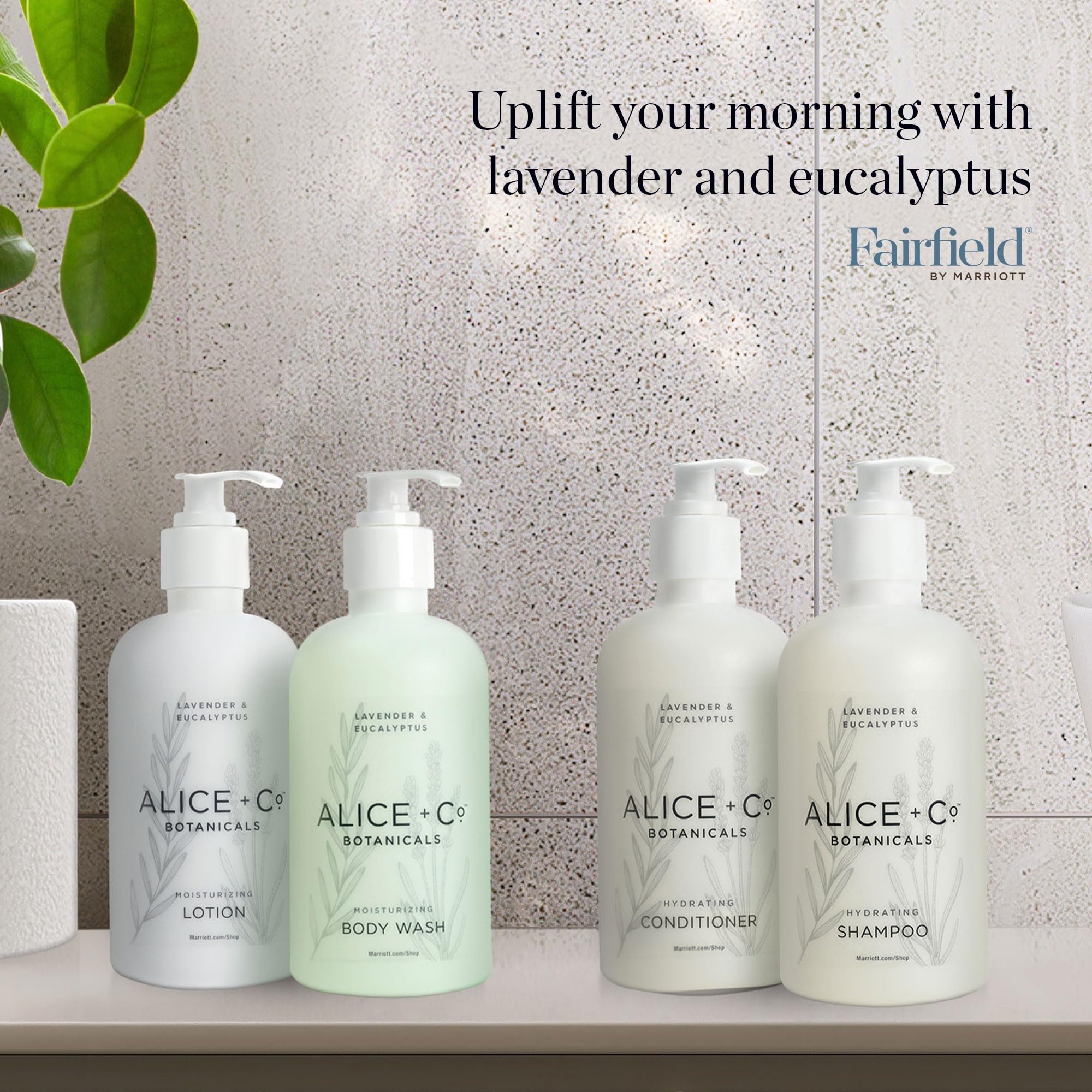 Alice + Co. Shampoo - Fairfield by Marriott - TownePlace - SpringHill - Hotel Bath Amenities - Lavender & Eucalyptus - 8.5oz Shampoo