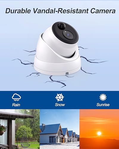 Swann 4K Master Security Camera System, 80° Wide Angle for Indoor/Outdoor Wired Home Surveillance, 8 Channel NVR with 2TB HDD, 4X Dome IP Cameras, Vandal-Resistant, Night Vision, True Detect,876804D