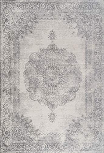 Eyely PDM403C-8 Modern Rosalia Cottage Medallion Indoor Area Rug Bohemian;Traditional;Vintage, Bedroom, Kitchen, Living Room, Easy-Cleaning, Non-Shedding, 8 X 10, Gray/Ivory