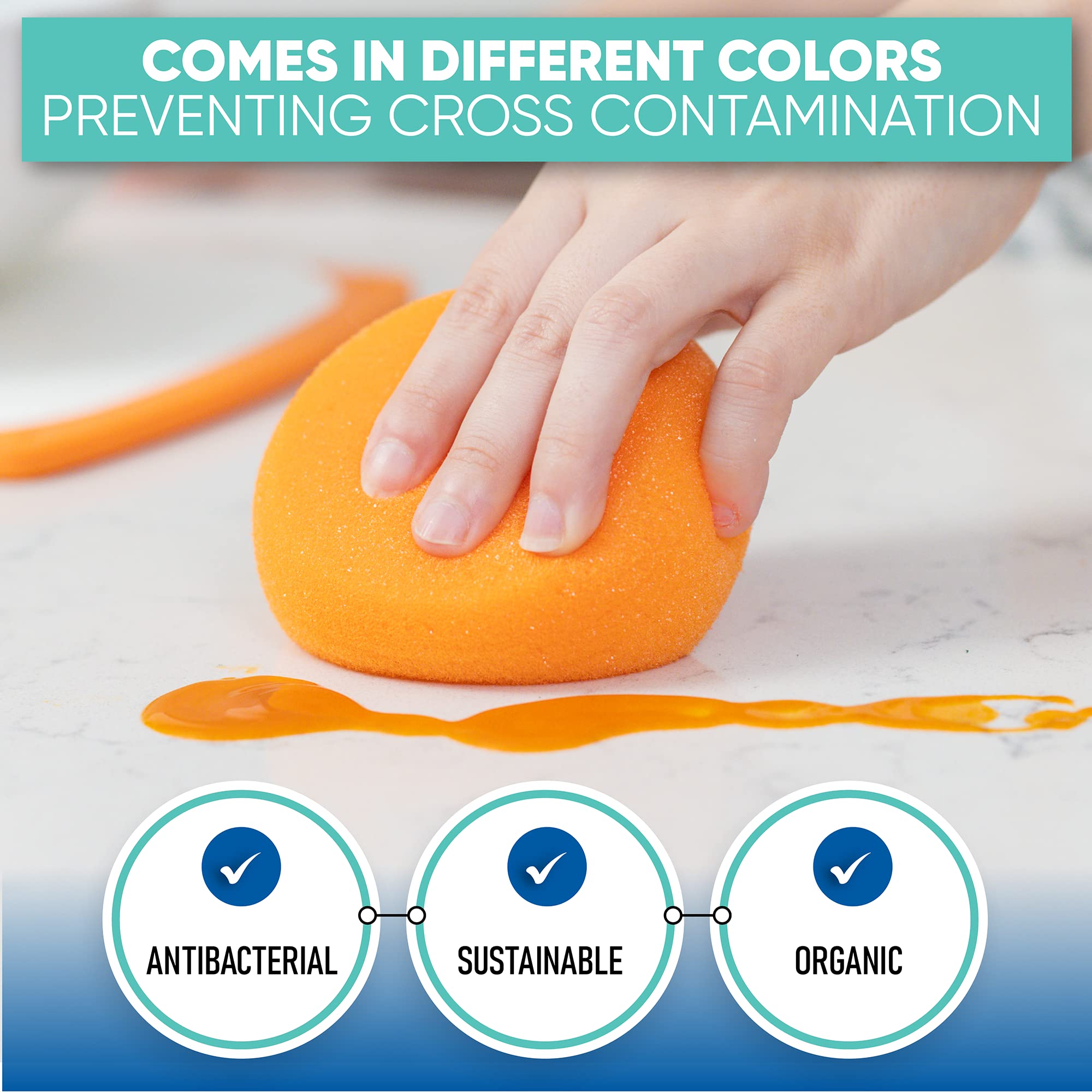 Blue Turtle – 3 Pack Donut Shape Multipurpose Sponges – Multifunction Scrub Sponge for Use on a Variety of Surfaces– Sponges for Cleaning Remove Tough Stains, Grease, Residue