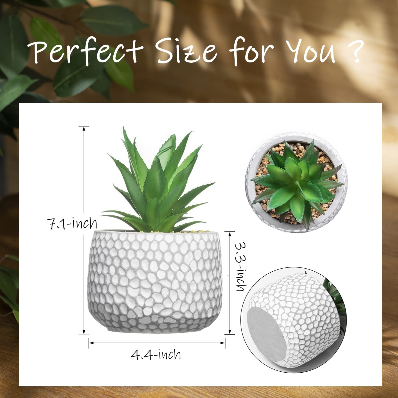 CADNLY Small Artificial Plants in Pots - Fake Plants for Bathroom Office Desk - Faux Succulents Succulents Decor 1 Pack