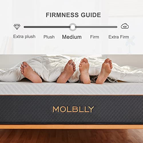 Molblly Queen Mattress - 14-Inch Hybrid Mattress with Individual Pocket Springs and Foam, Queen Size Bed in a Box, Breathable and Pressure-Relieving, Medium, Mattresses Queen Size 60