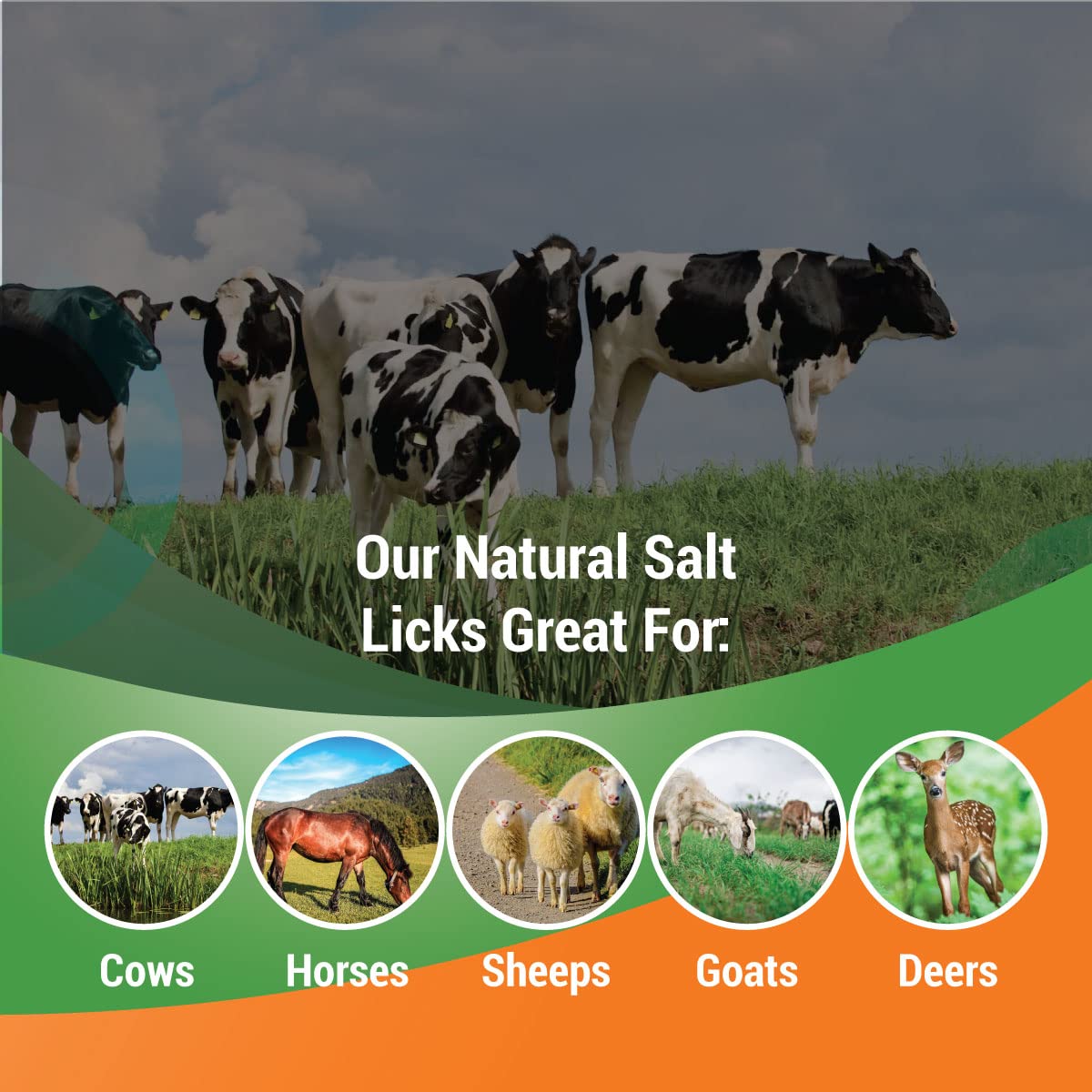 Yield Titan Himalayan Pink Salt 14 LB, Salt Licks for Animals Licking Block for Horses, Cows, Deer, and Other Livestock - Rope Included 3.5Lbs Each(4 Qty)