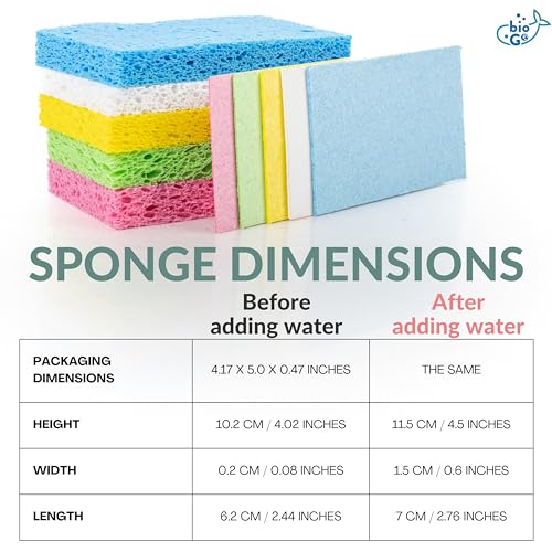 bioGo 10 Pack Compostable Pop-Up Sponges - Expanding, Non-Scratch, Plant-Based Dish Sponges - 10 Color Sponges - Compostable Pop Up Sponge - Rainbow Sponges - Kitchen Pop Up Sponges