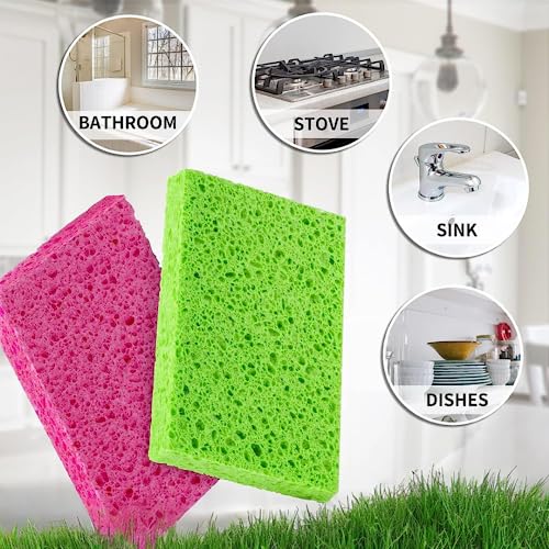 bioGo 10 Pack Compostable Pop-Up Sponges - Expanding, Non-Scratch, Plant-Based Dish Sponges - 10 Color Sponges - Compostable Pop Up Sponge - Rainbow Sponges - Kitchen Pop Up Sponges