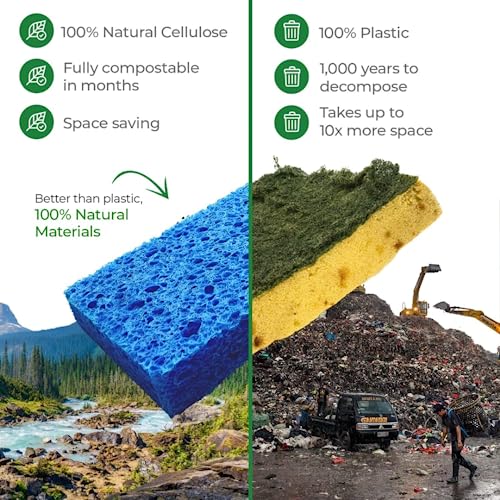 bioGo 10 Pack Compostable Pop-Up Sponges - Expanding, Non-Scratch, Plant-Based Dish Sponges - 10 Color Sponges - Compostable Pop Up Sponge - Rainbow Sponges - Kitchen Pop Up Sponges