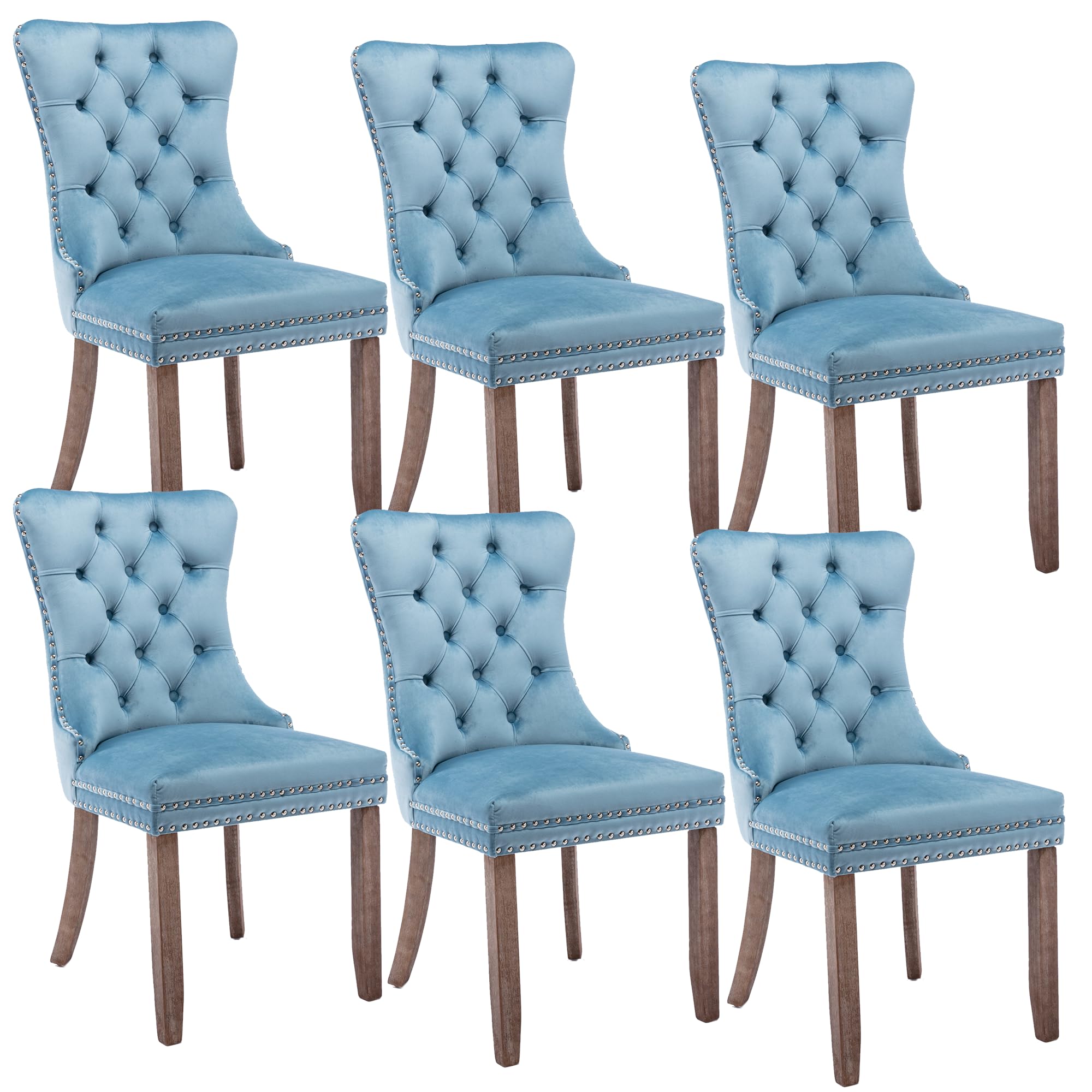 Rhomtree Set of 6 Velvet Fabric Dining Chairs Luxury Tufted Back with Nailed Trim and Back Ring Pull Home Kitchen Dining Room Chairs Armless Side Chairs Solid Rubber Wood Legs (Light Blue)