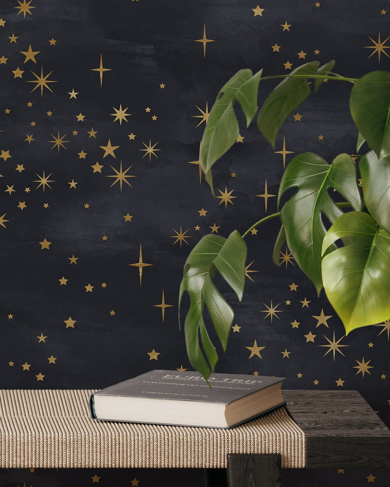 Coloritto Starry Night Peel and Stick Wallpaper | Removable Self Adhesive Space Wallpaper | Kid's Room Interior | Peel and Stick Wallpaper (Sample 12" W x 8" H)